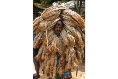 Bringing back the glory days of jute