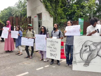 In pictures: Protesters demand justice for elephant killed by train