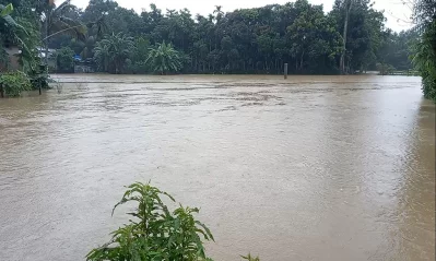 Four southern districts still struggling