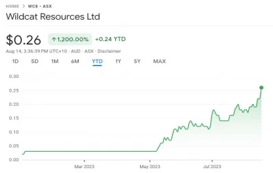 Wildcat Resources up 1,200% this year - more to come from this lithium ...