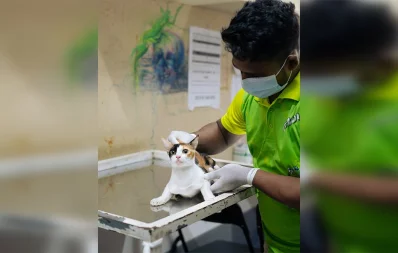 Rescue Heroes: Alik, Chameli's journey to save stray animals