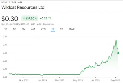 Wildcat Resources (ASX: WC8) down 17% - we did say the price looked a ...