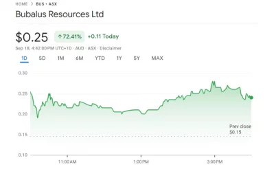 Bubalus Resources (ASX: BUS) up 72% on - yes, how did you guess, lithium