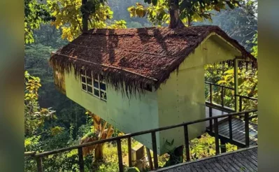 A night in a tree house in Bandarban