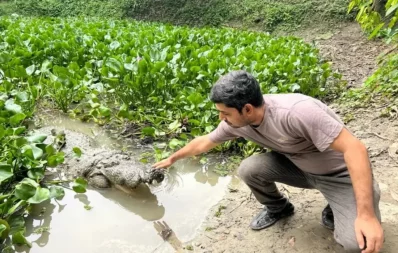 Where crocodile is a symbol of faith