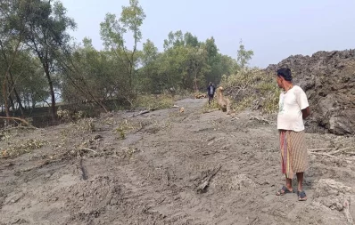 Tree felling continues despite resistance from local people