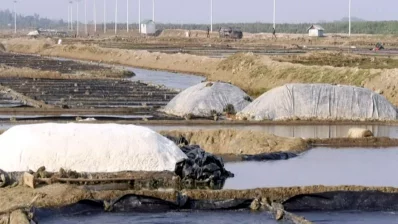 Heatwave spurs record salt production in 63 years