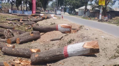 Campaigns save 74 trees along Dinajpur-Setabganj Road
