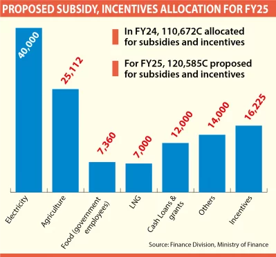 Who benefits from government subsidies?