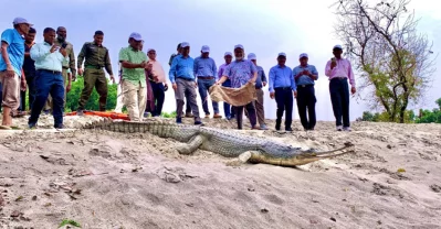 Inauguration of the country's first Gharial Breeding center in Rajshahi