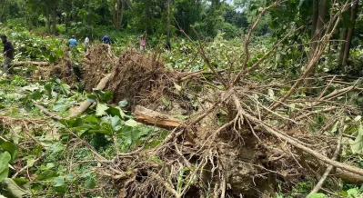 BELA urges halt to environmentally destructive activities at JU