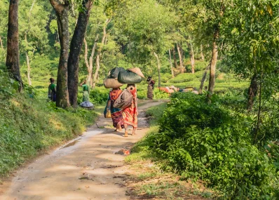 A nation's determination to nurture the future