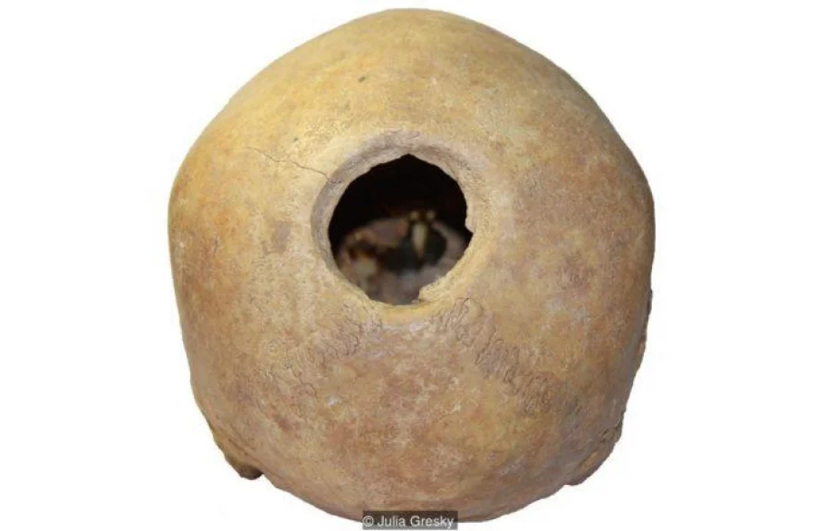 Why our ancestors drilled holes in each other's skulls