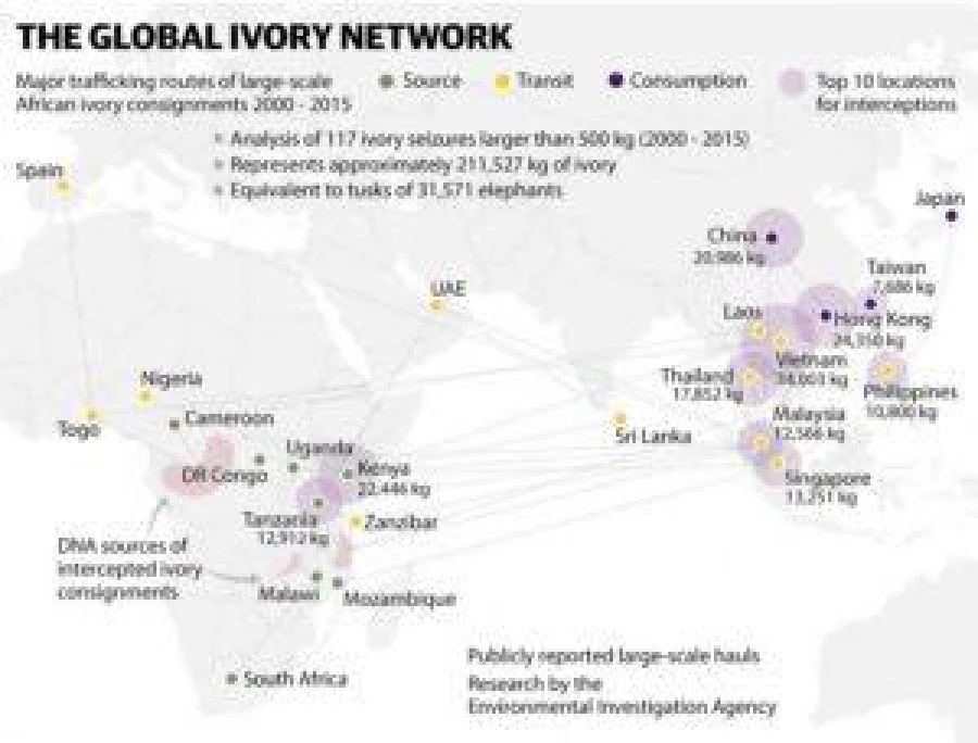 Ivory, rhino horn and pangolins on Cites meeting agenda