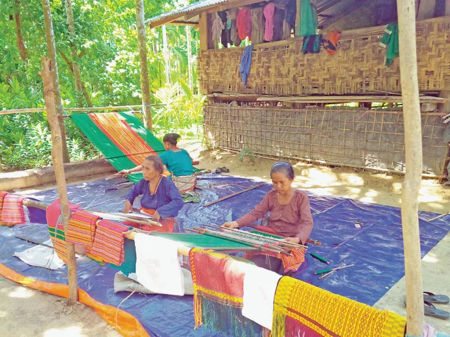 Alternative livelihoods boosting Inani forest conservation