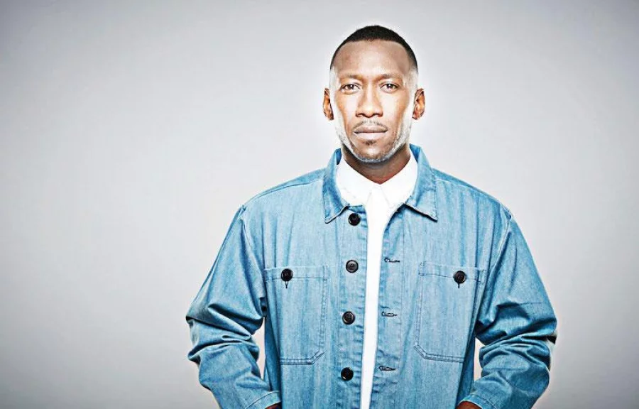 From TV to the red carpet