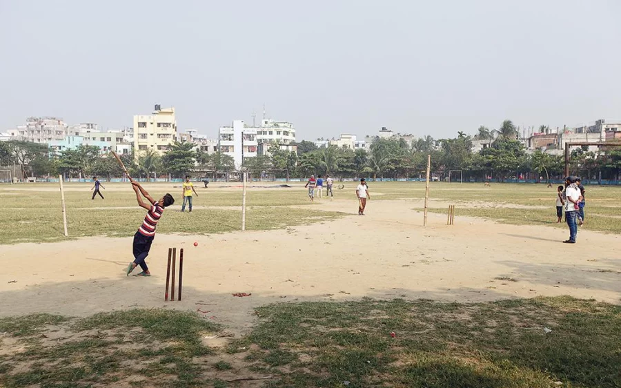 The elusive greenery in the suburbs of Uttara and Nikunja