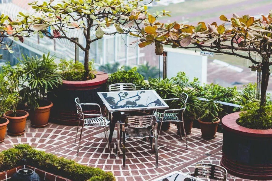 Dining destinations with a view