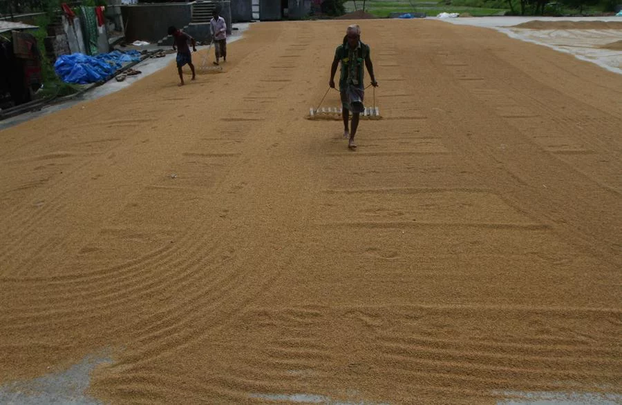 Who is behind the rice price hikes?