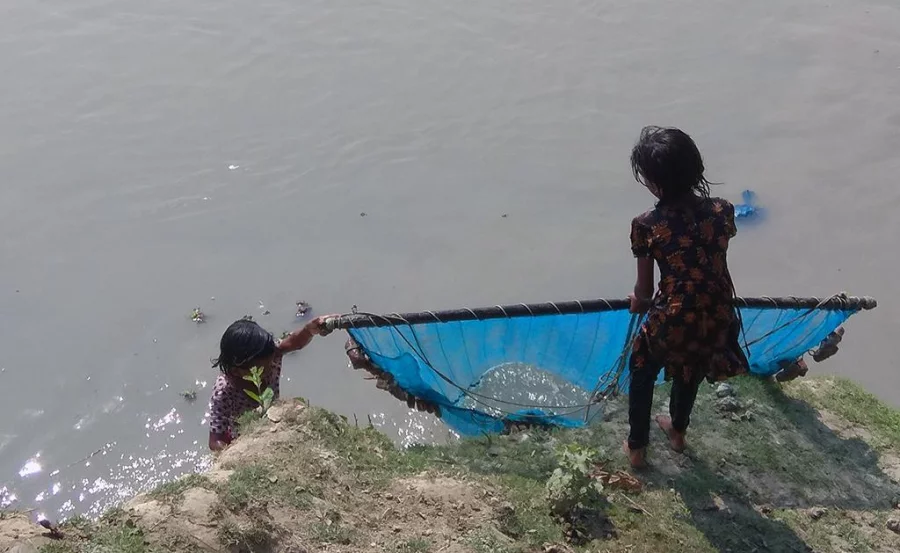 Children of Sharankhola collecting shrimp fry for survival