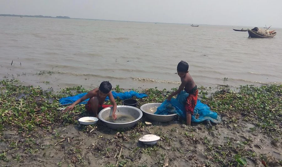 Children of Sharankhola collecting shrimp fry for survival