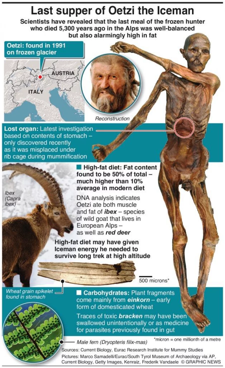 Infographic: Last supper of Oetzi the Iceman revealed