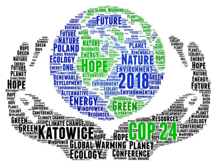 COP24: Successes and Failures