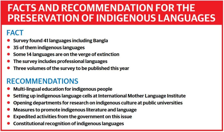 Could 2019 truly be the year of indigenous languages?