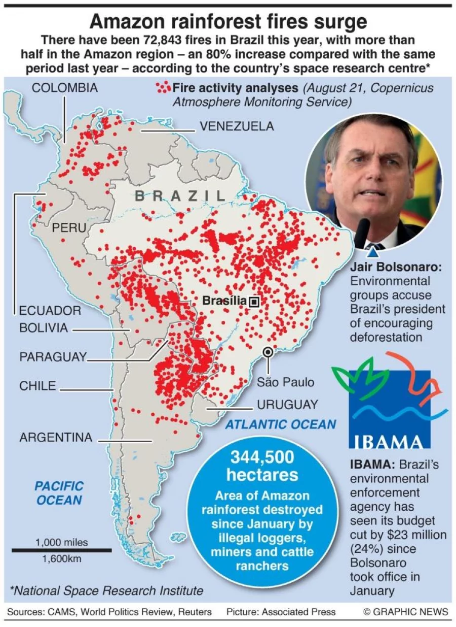 Infographic: Amazon rainforest fires