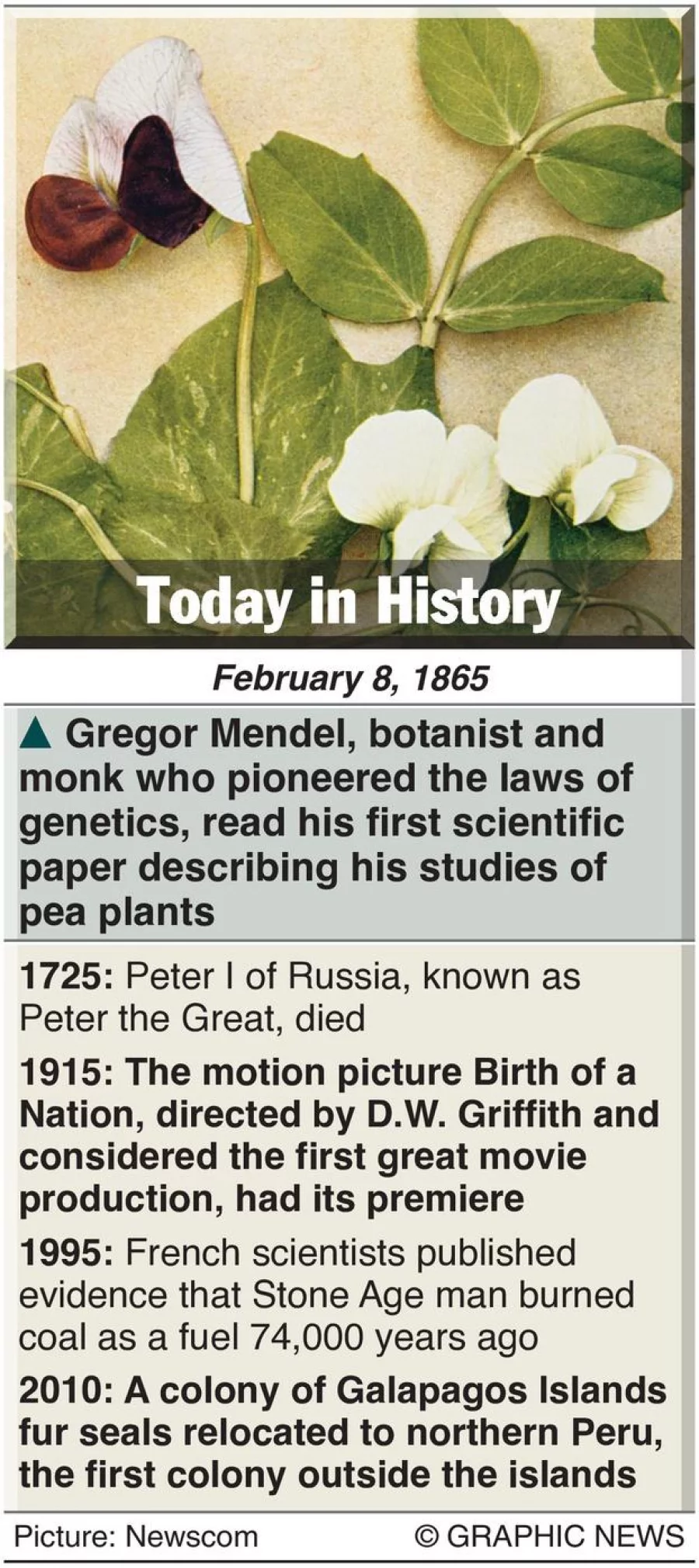 February 8: What happened this day in history