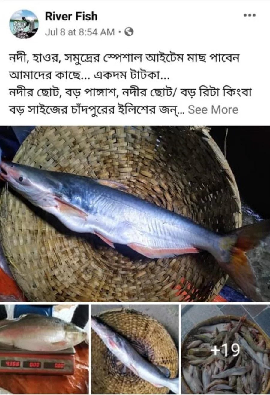 Women in online fish market: Changing social norms and the economy