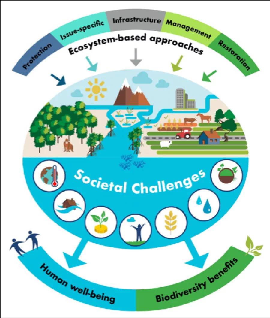 Nature-based solutions should be an integral part of locally-led adaptation