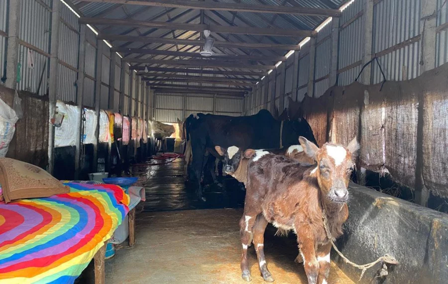 Ashrayan-2: A joy for transgender community in Sirajganj