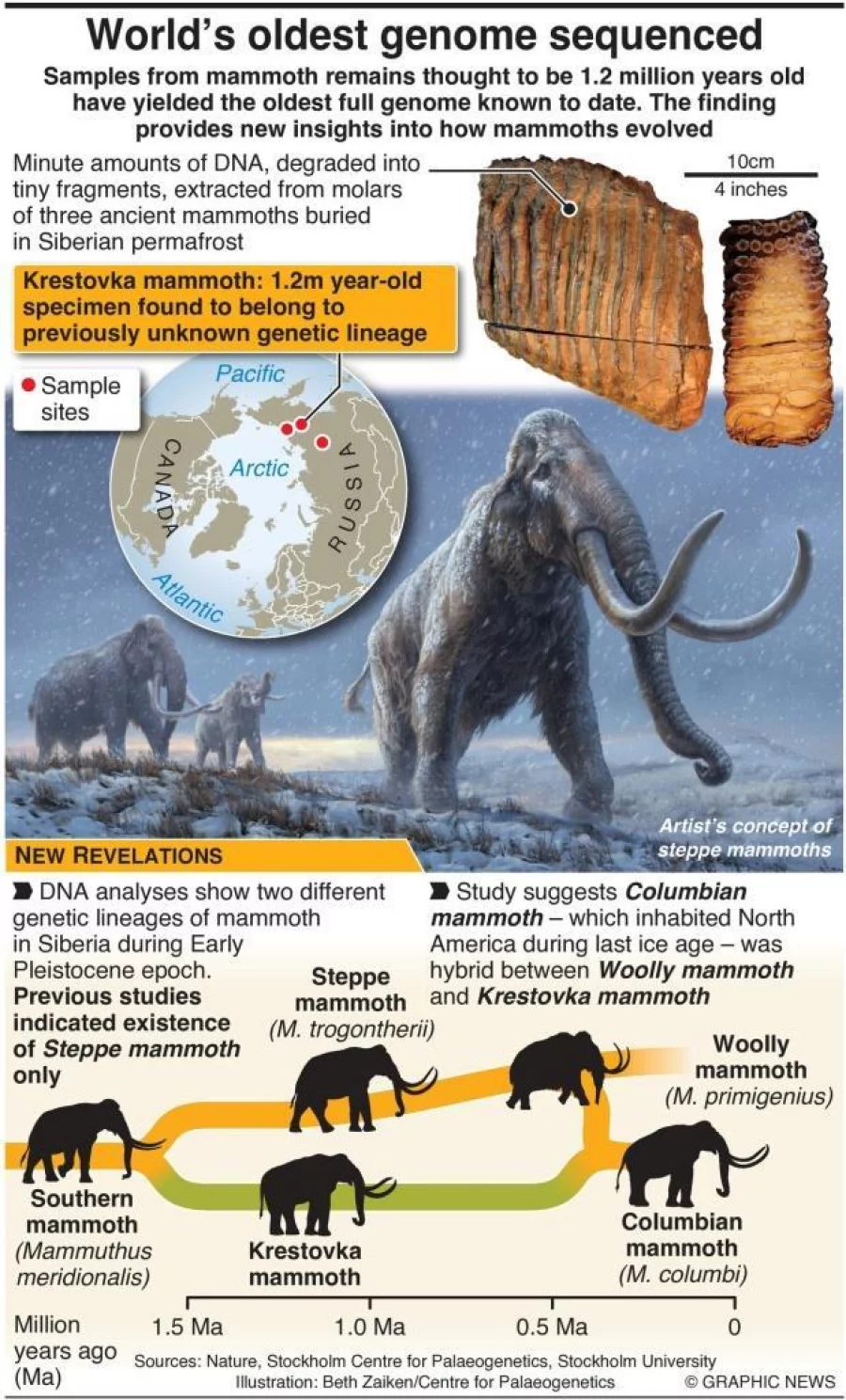 Infographic: World’s oldest genome sequenced