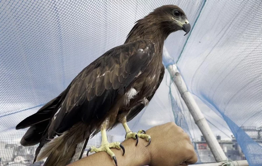 A day at 'Chil Bari'