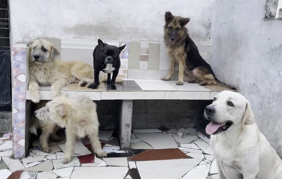 A day at 'Chil Bari'