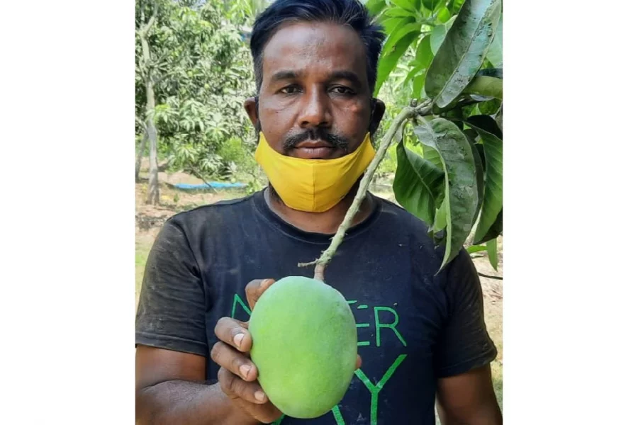 Shwapno now exporting fruits, vegetables abroad