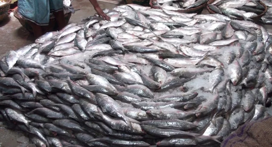 Bangladesh consolidates position as one of world’s top fish producers