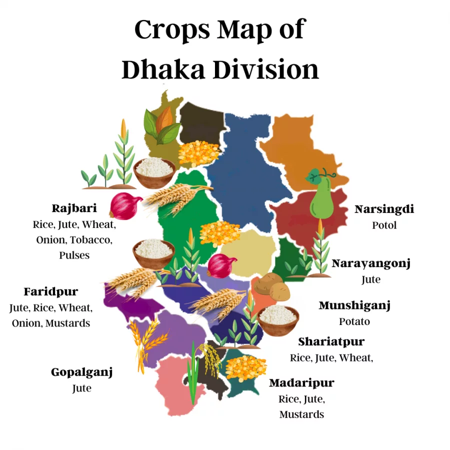Infographic: Crops of Bangladesh