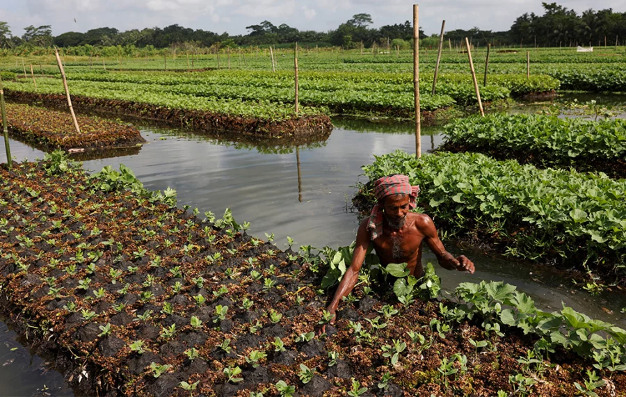 World Bank: Bangladesh to lose one-third of agricultural GDP by 2050