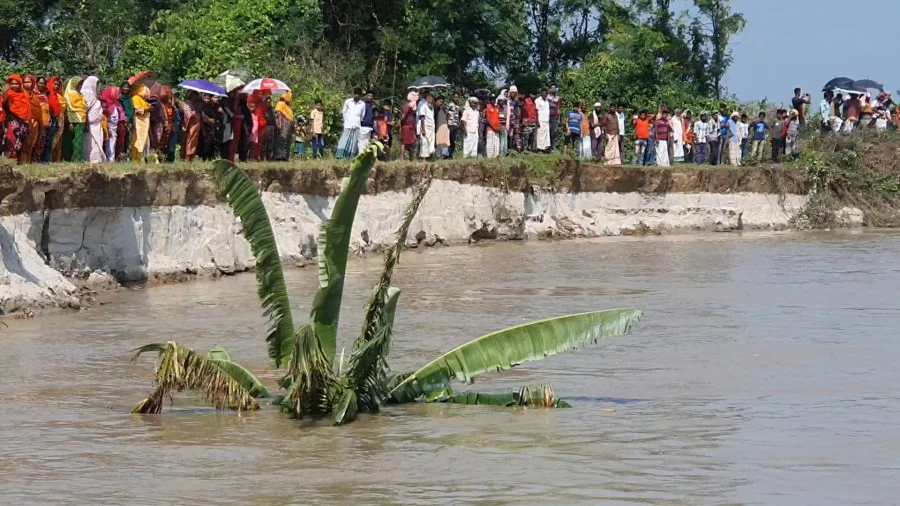Padma devours homes, croplands in Kushtia