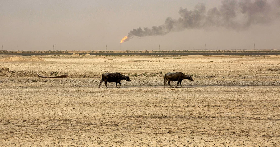 Millions in Middle East at risk of climate displacement