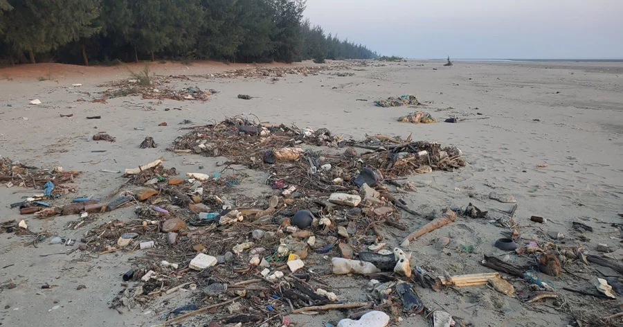 How Sonadia Island turned into a dumping yard