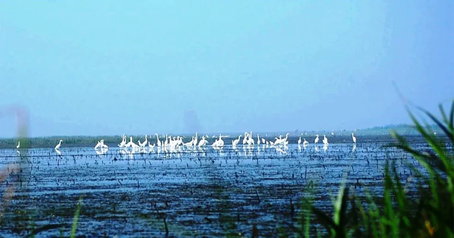 Baikka Beel gets new look, Sheikh Rehana pays visit