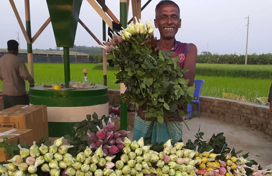 Flower prices skyrocket as Bangladesh celebrates Pohela Falgun ...
