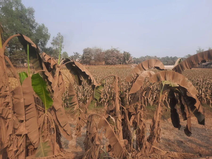 Dust pollution posing serious threat for Dhamrai residents