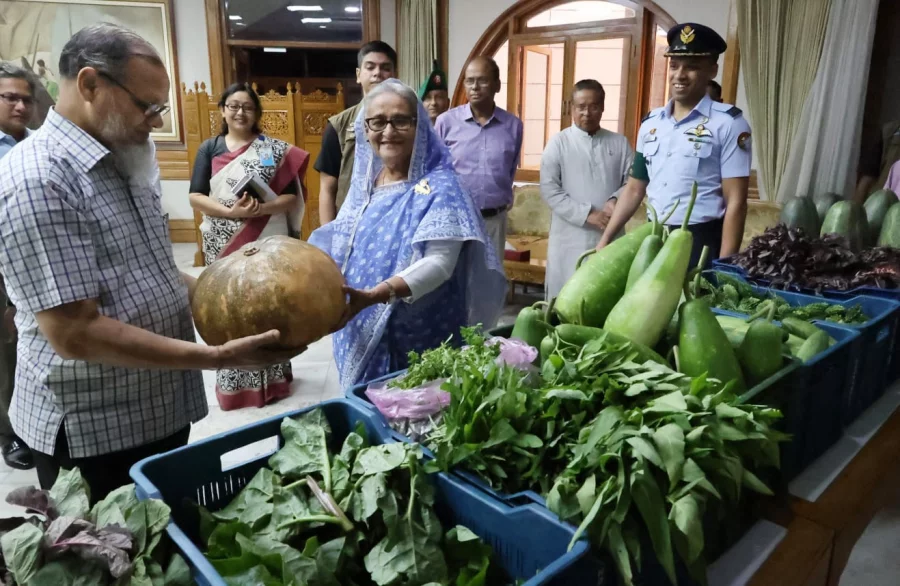 PM Hasina inspects vegetables, fruits cultivated in Tungipara