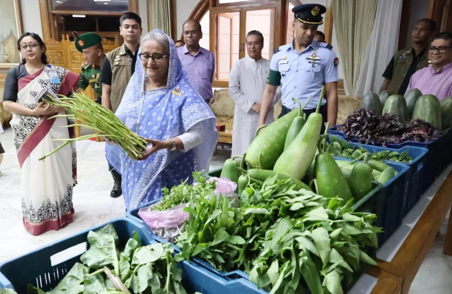 PM Hasina inspects vegetables, fruits cultivated in Tungipara