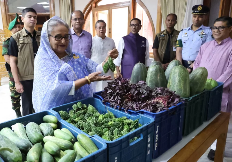 PM Hasina inspects vegetables, fruits cultivated in Tungipara