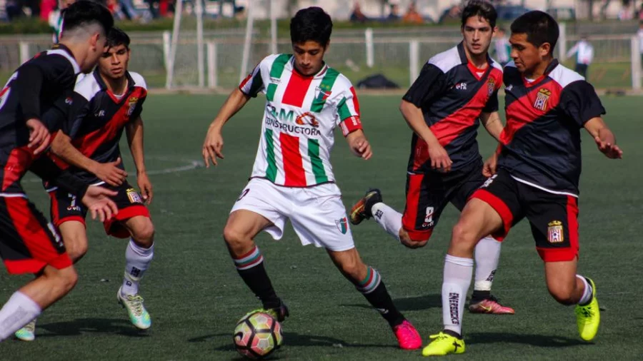 Where football and politics mix: Chile's Palestino football club